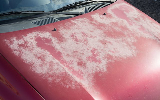 Causes of Car Paint Damage & Prevention | dubizzle