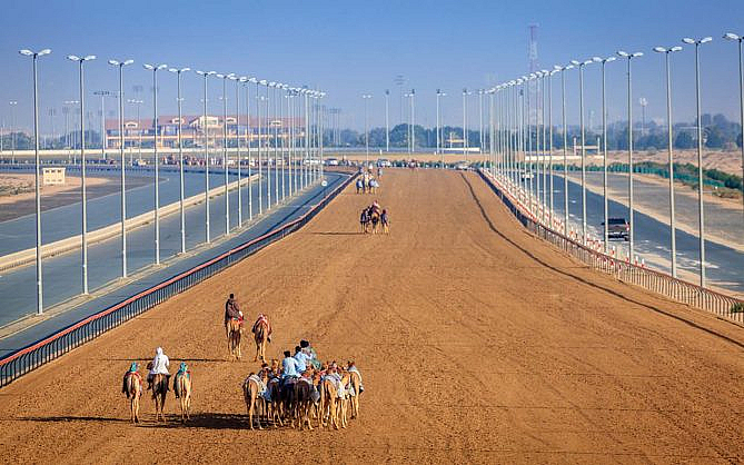 Best Dubai Race Tracks: Cars, Camels, Horses & Bikes | dubizzle