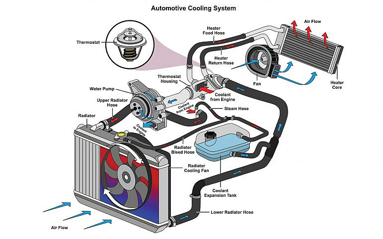Car Water Pump: Definition, Types, Problems & More | dubizzle