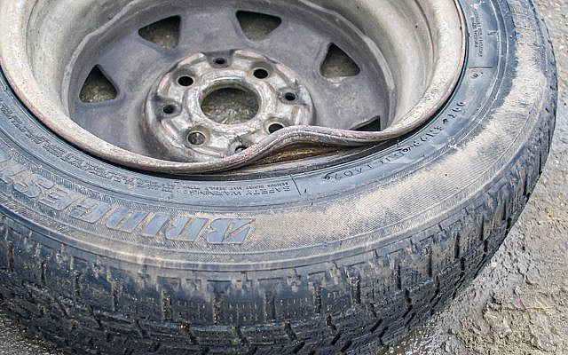 Guide on Wheel Damage Repair: Types, Process & More | dubizzle