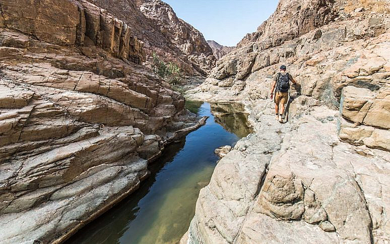 Guide to Shawka Mountain Bike Trail: Map, Location & More | dubizzle