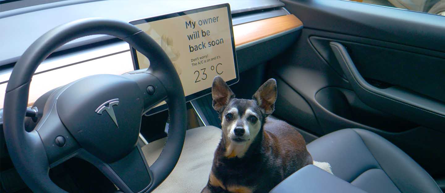 Tesla Dog Mode: Feature, Benefits, Working and More | dubizzle