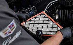 Al Ghandi Auto: Our Dealership of the Month | dubizzle